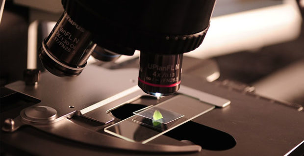 Das automatisierte Labor: Interview mit Roche PVT › Weblogit